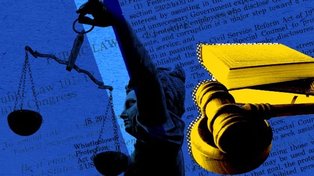 whistleblower dissertation