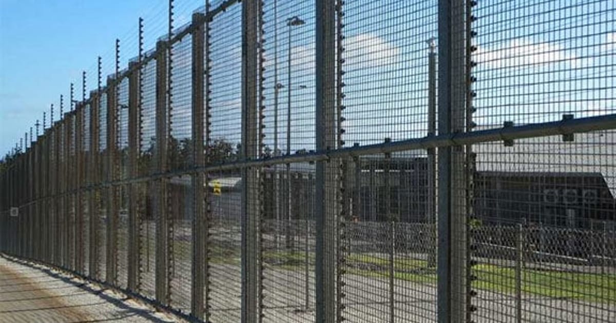 Congressional Caucuses Demand Transparency from ICE | Project On Government Oversight